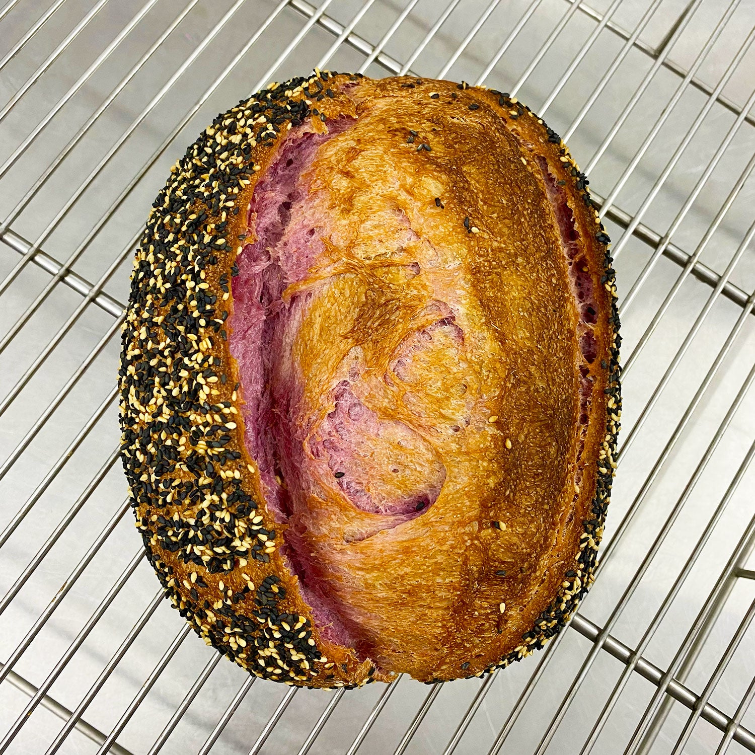 Sourdough Bread - Purple Sweet Potato Sesame Batard – Daissy Whole Foods