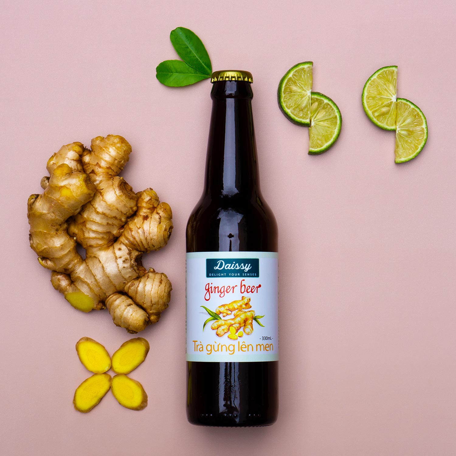 Bia Gừng Lên Men Tự Nhiên Daissy – Daissy Whole Foods