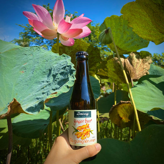 Bia Gừng Lên Men Tự Nhiên Daissy – Daissy Whole Foods