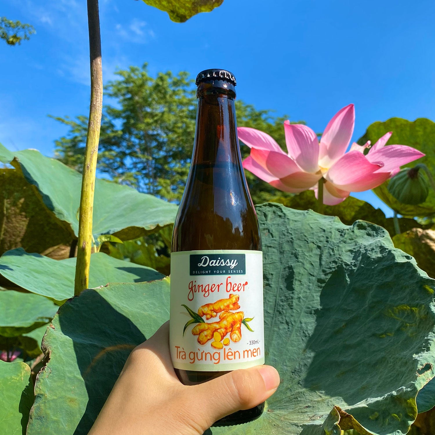 Bia Gừng Lên Men Tự Nhiên Daissy – Daissy Whole Foods